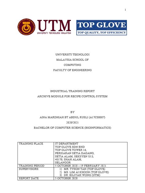intern report aina mardhiah pdf microsoft excel mentorship