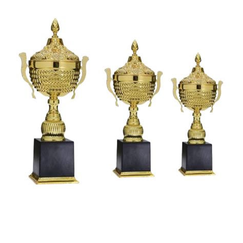 Award Cup At 325000 Inr In New Delhi Delhi Smartmail Express Pvt Ltd