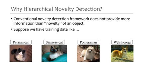 hierarchical novelty detection for visual object recognition ppt