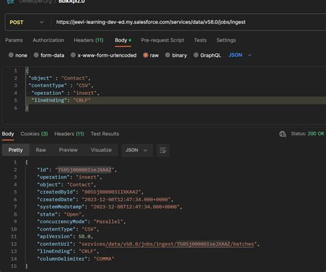 Salesforce Bulkapi 20 Pashtek