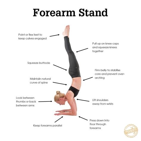 Forearm Stand | Forearm stand, Yoga handstand, Ashtanga yoga