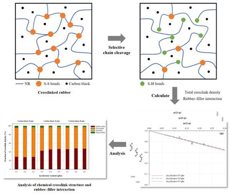 Polymers Free Full Text Correlation Between The Crosslink Characteristics And Mechanical