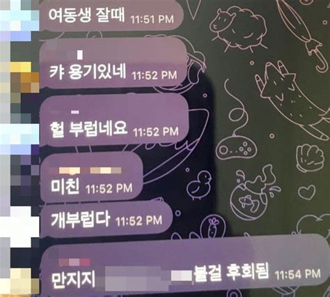 여동생 잔다 수면제 성공하리 딥페이크 가족 능욕방까지 등장했다 파이낸셜뉴스