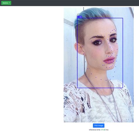 Example Face Landmark Detection · Issue 373 · Intelwebml Polyfill · Github