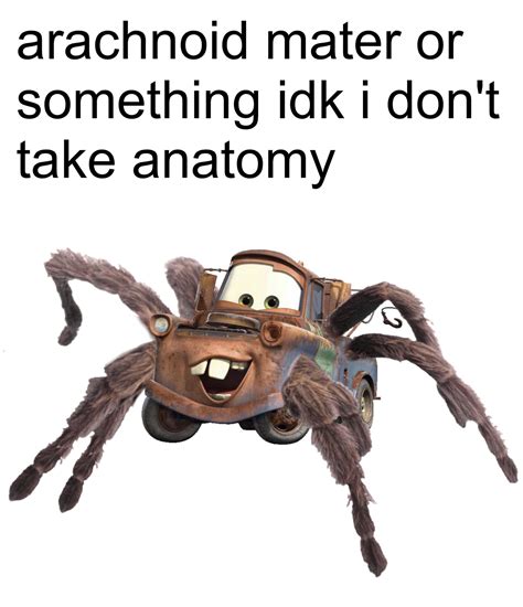 Take Anatomy Meme