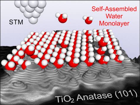 锐钛矿型tio 2 （101）表面单层水的原子结构the Journal Of Physical Chemistry C X Mol