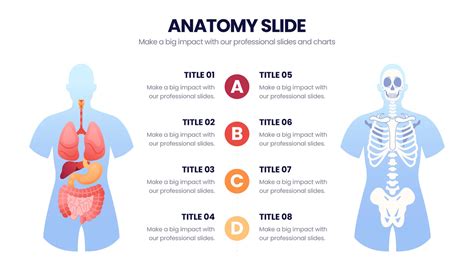 Anatomy Powerpoint Infographics Anatomy Infographic Templates