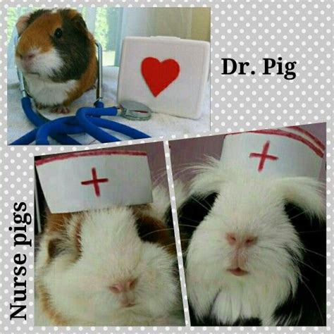 17 Best Images About Create For The Giny Pigs On Pinterest Hard At
