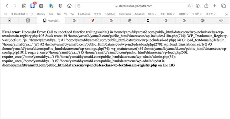 WordPressWPの更新後にCall to undefined function trailingslashit が出て管理画面にログインできなくなったのを対処した