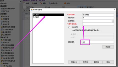 关于access快速开发平台自动编号使用的注意事项【access软件网】