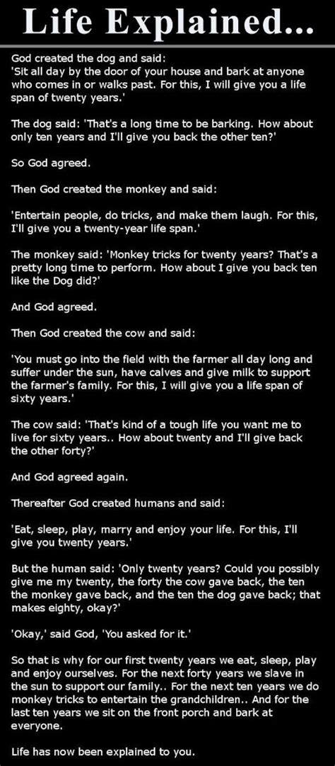 Life Explained Funny Jokes And Quotes Stories About God God Made