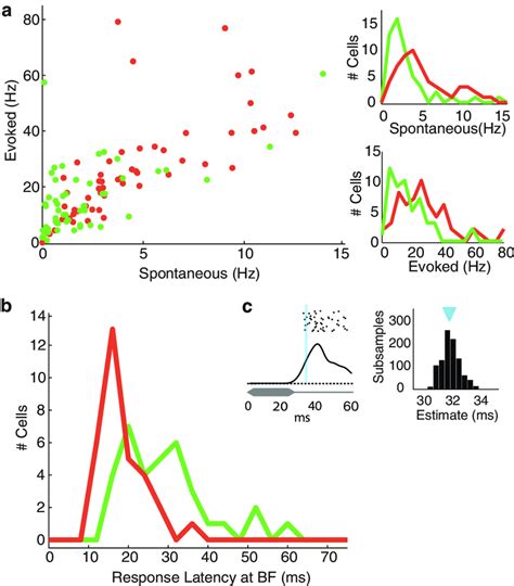 Firing Rates And Response Latency A Spontaneous And Evoked Firing