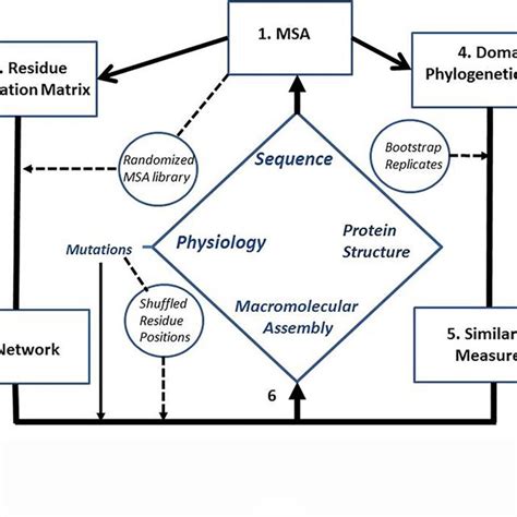 Computational Strategy The Experimental Data Obtained On The System Download Scientific