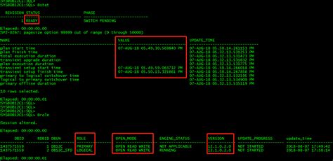 Oracle 19c新特性测试之滚动升级193 Adg 滚动升级 Csdn博客