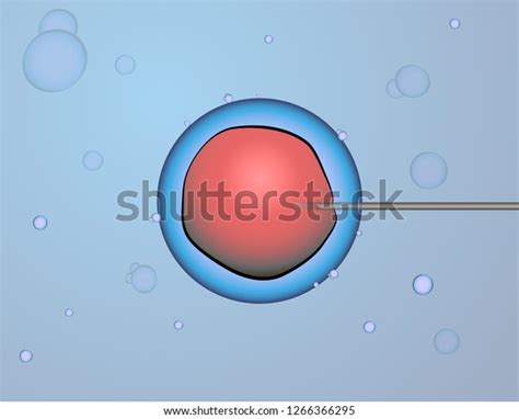 Science Background Cell Vector Biology Illustration Stock Vector Royalty Free