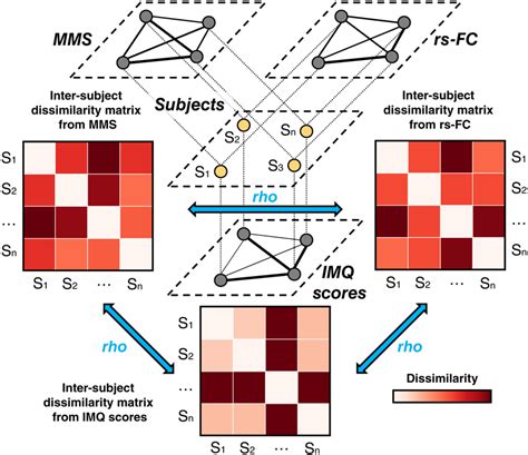 A Schematic Illustration Of The Inter‐subject Representational