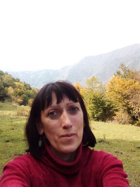 სახლი ტყის პირას