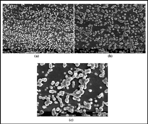 Cryo Sem Micrograph Of Microencapsulated A Vera Juice Powder A 500x