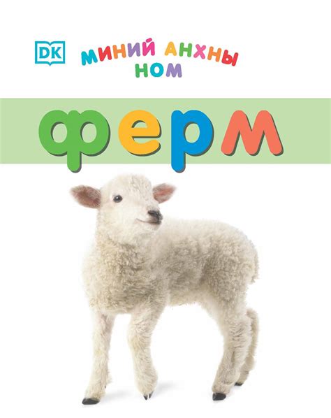 Мир Номын Их Дэлгүүр