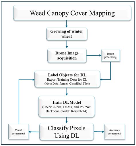 Examining Deep Learning Pixel Based Classification Algorithms For Mapping Weed Canopy Cover In