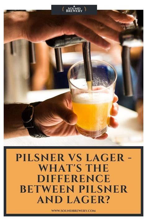 Ale Beer Vs Lager Artofit