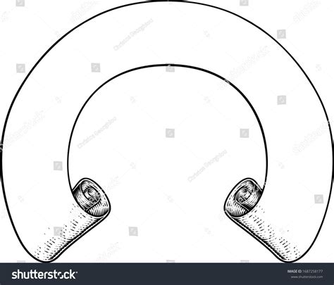 Scroll Flag Paper Banner Parchment Ribbon Stock Vector Royalty Free