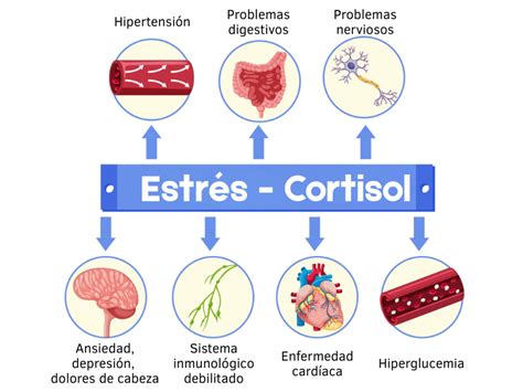 Cortisol Alto Causas Cómo Controlarlo Y Potenciar El Aprendizaje