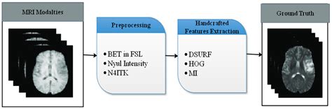 Brain Tumor Segmentation From MRI Images Using Handcrafted Convolutional Neural Network