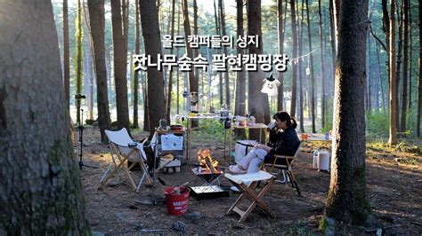 캠핑 브이로그올드캠퍼들의성지숲속캠핑팔현캠프서울근교캠핑장잣나무숲속캠핑캠핑브이로그노지캠핑장오지캠핑장선착순캠핑장장작