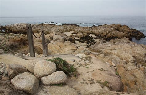 Asilomar State Beach Pacific Grove Ca California Beaches