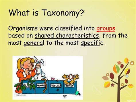 Taxonomy Meaning