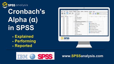 cronbach s alpha α using spss reliability analysis explained