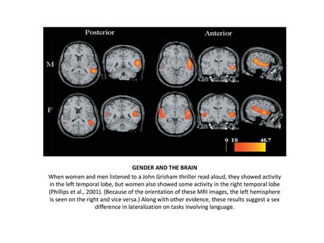 Psychology Ppt Download