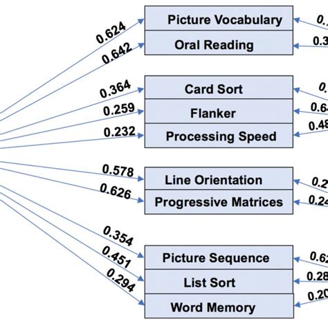 Bifactor Model Based On Ten Behavioral Tasks From The Hcp Dataset With