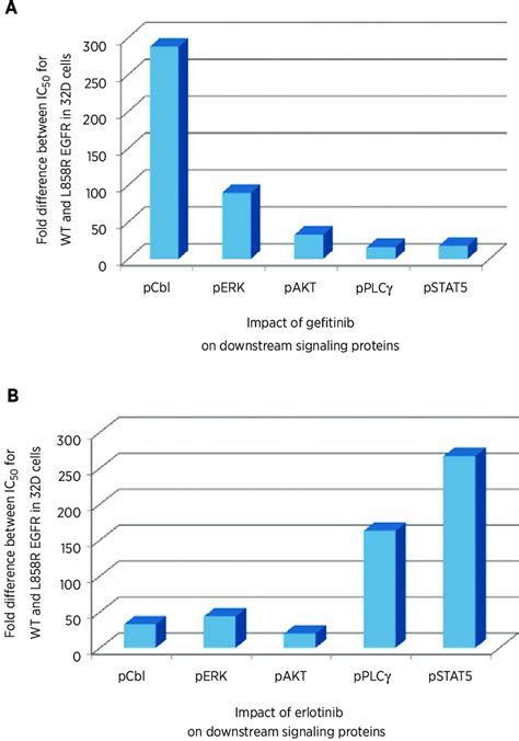 A Bar Graph Representation Of Fold Difference In Ratio Of Ic50 Values Download Scientific