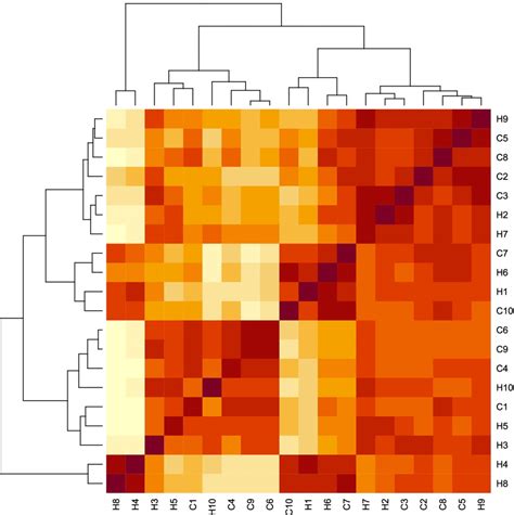 Heatmap Plot For Visualize Hierarchical Clustering Download Scientific Diagram
