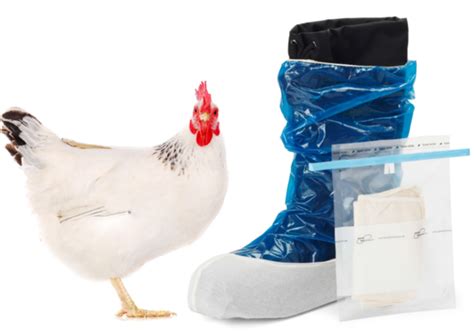 Poultry And Carcass Sampling World Bioproducts World Bioproducts