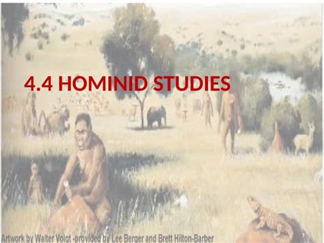 44 Hominid Evolutionpptx Xxxxxxxxxxxxx Pptx