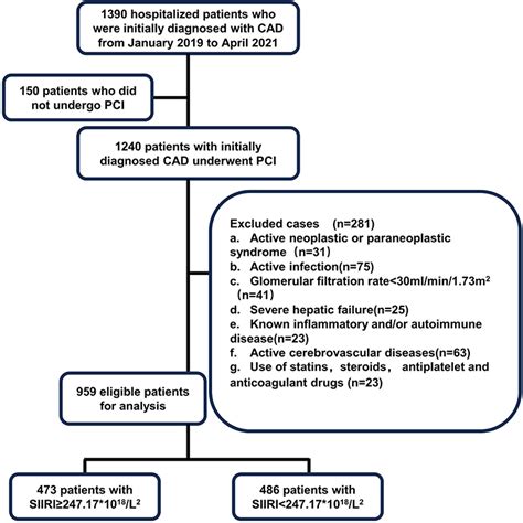 Systemic Immune Inflammatory Response Index Cad Prognosis Jir