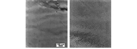 Comparison Of The Defect Clusters Observed In Stainless Steel