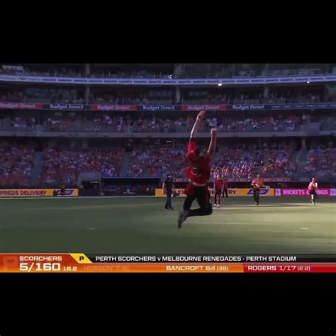 Will Sutherland Best Catch Vs Perth Scorchers Bbl Youtube