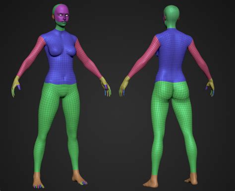 Female Base Mesh FlippedNormals
