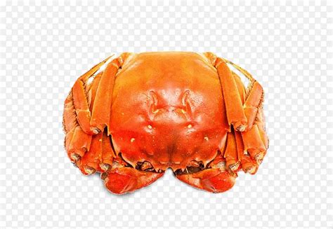 螃蟹png图片素材下载图片编号11039691 Png素材网