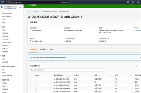Aws服务器搭建学习工具使用codeiumcodeium账号 Csdn博客
