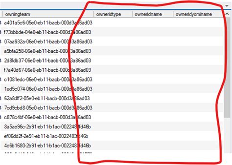 Some Populated Columns Display As If Empty Issue Rappen FetchXMLBuilder GitHub