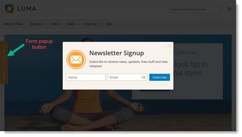 How To Create Newsletter Signup Form In Blue Form Builder Part 2 Magezon