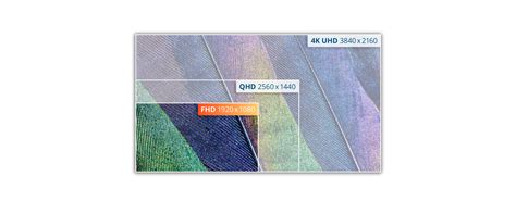 Buy AOC 24V2Q 24 Inch Full HD 75Hz IPS Monitor Computech Store