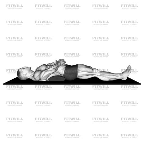 Static Position Lying Back With Pad Exercise Guide Techniques