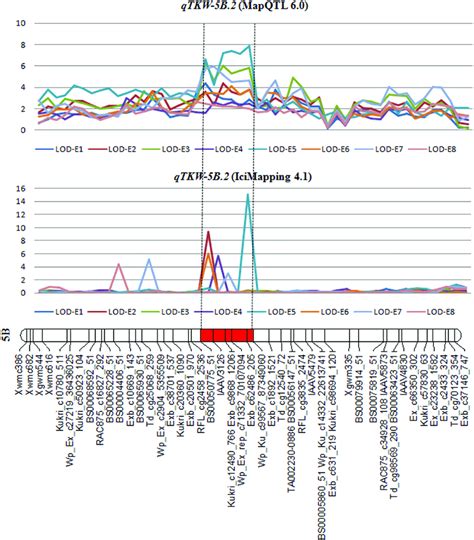 Overlapping Confidence Interval Of Qtl For Tkw Based On Mapqtl 60