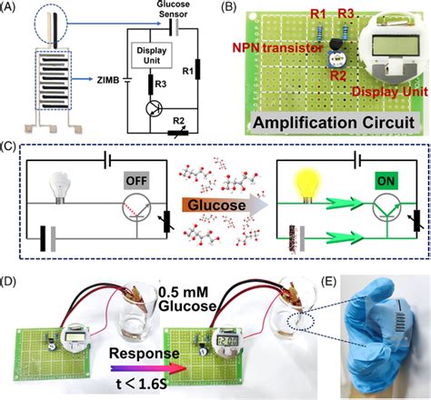 Assembly Of The Whole Igs‐zimb Microsystem A The Circuit Design Of Download Scientific